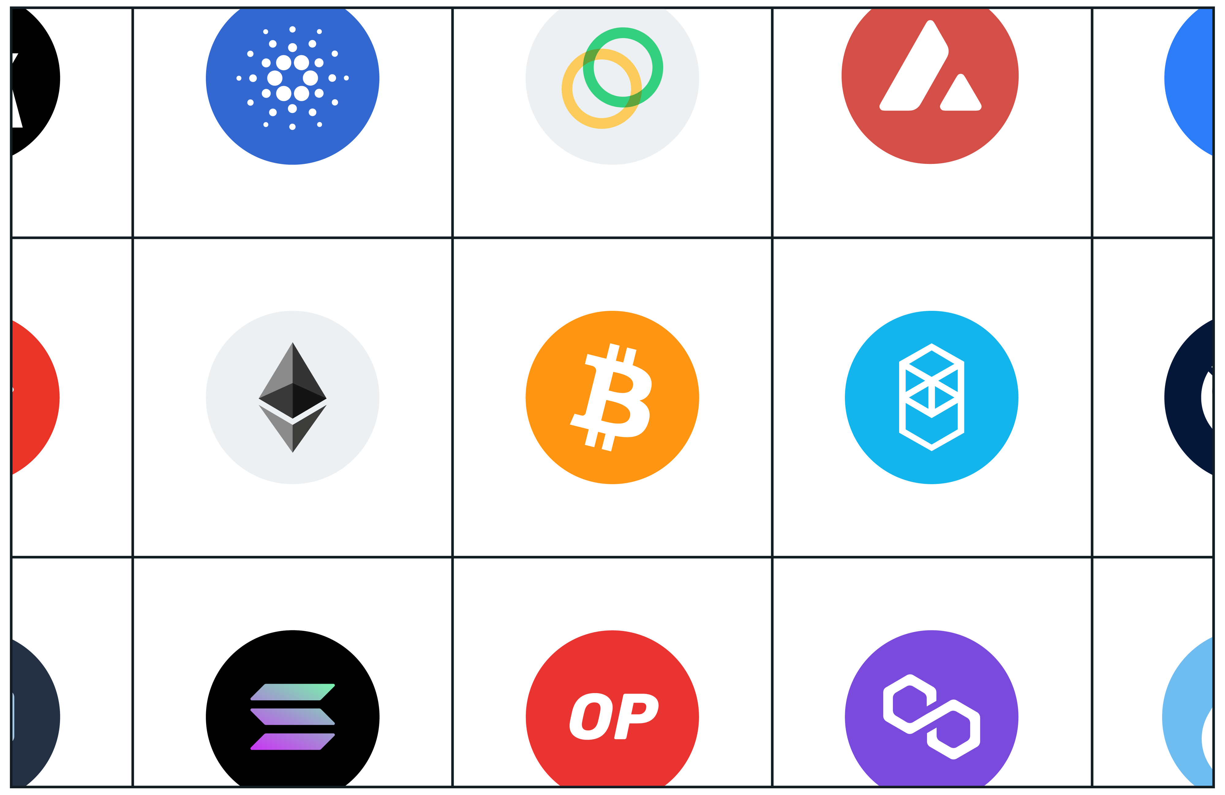 Crypto Transaction Monitoring | Elliptic Navigator